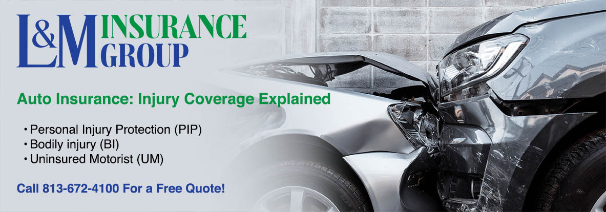 L&M Insurance Group Independent Insurance Agency Riverview FL